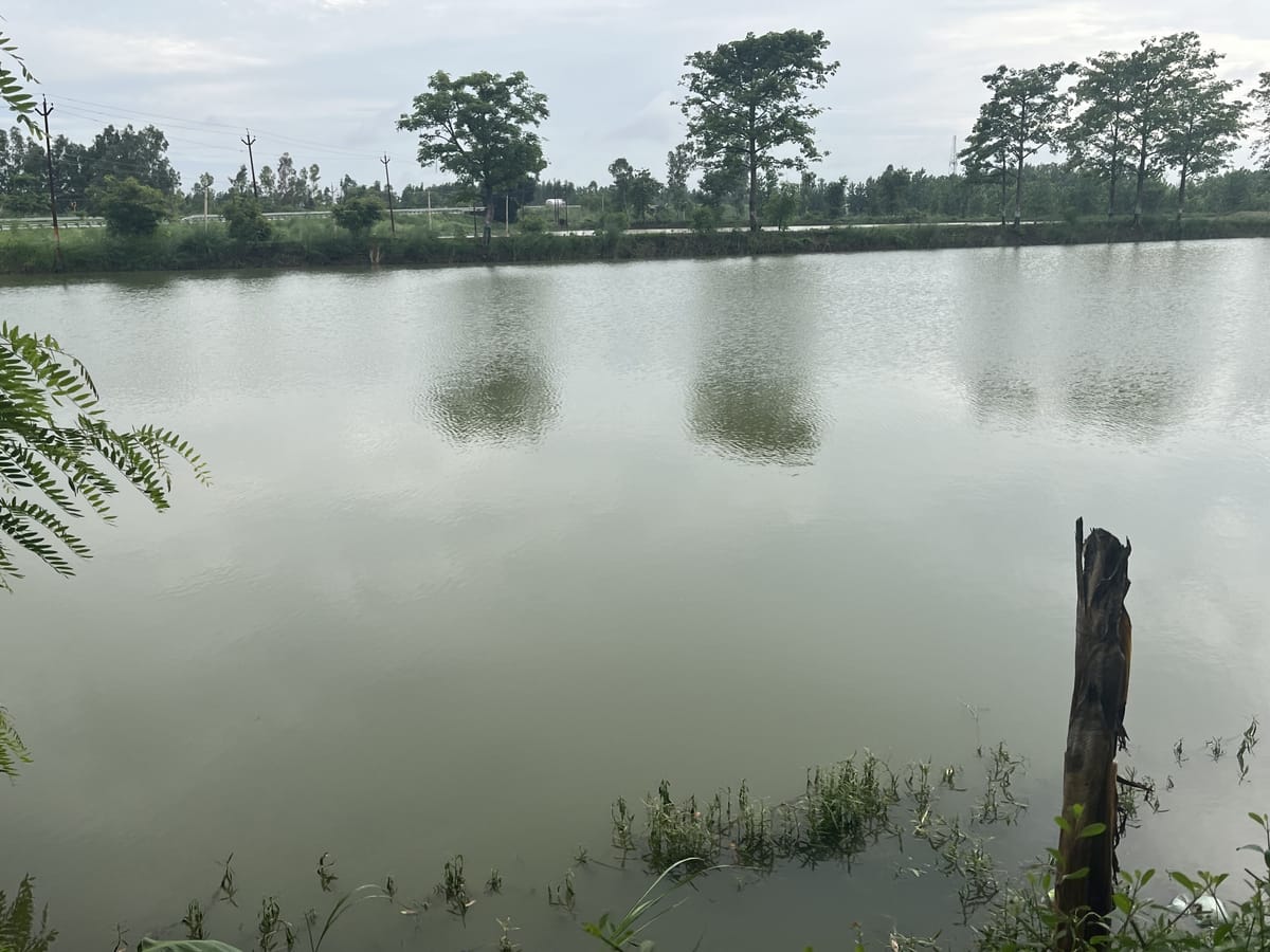 Uttar Pradesh Village Transforms Wasteland into Tourist Pond, Boosts ...