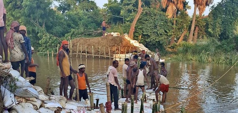 Bihar Floods: 10 Dead, Thousands Displaced, Crops Destroyed in 12 Districts