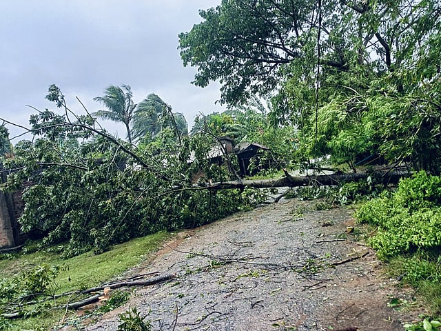 25 Years After Odisha's Super Cyclone: Resilience and Memories Endure ...