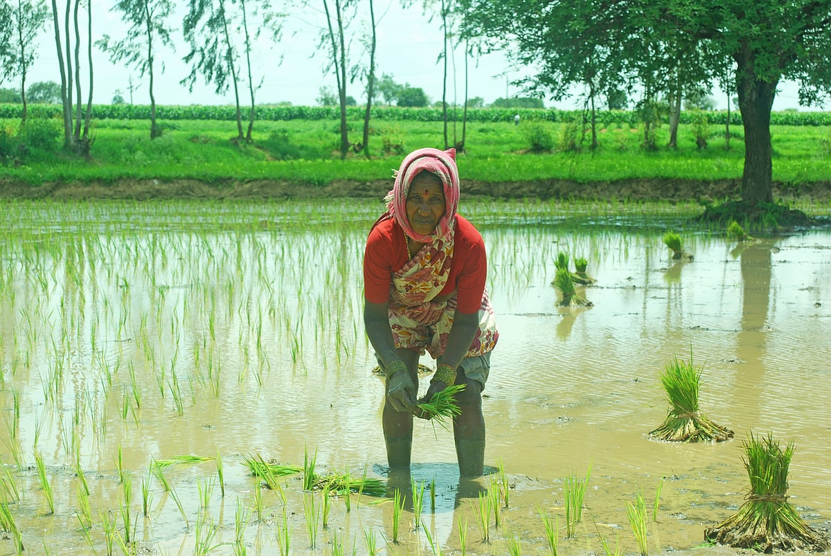 AP’s Natural Farming Model: A Sustainable Future for Agriculture by 2050