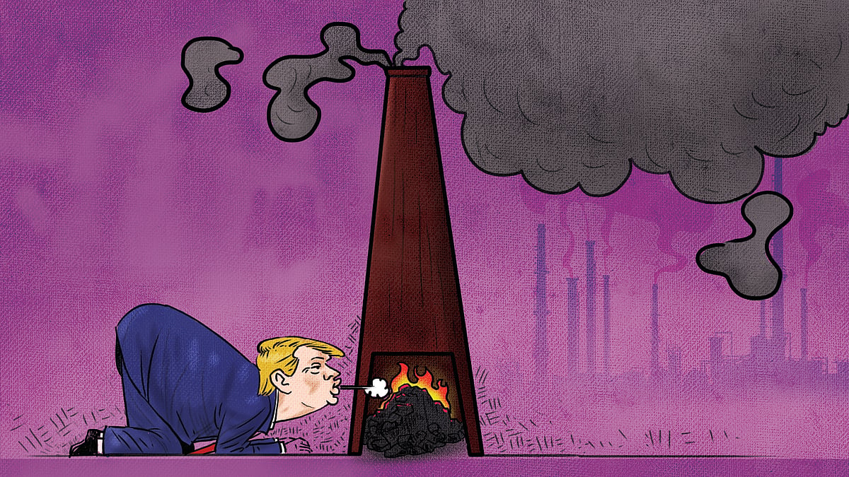 Trump 2.0: Implications for US and Global Climate Change Action