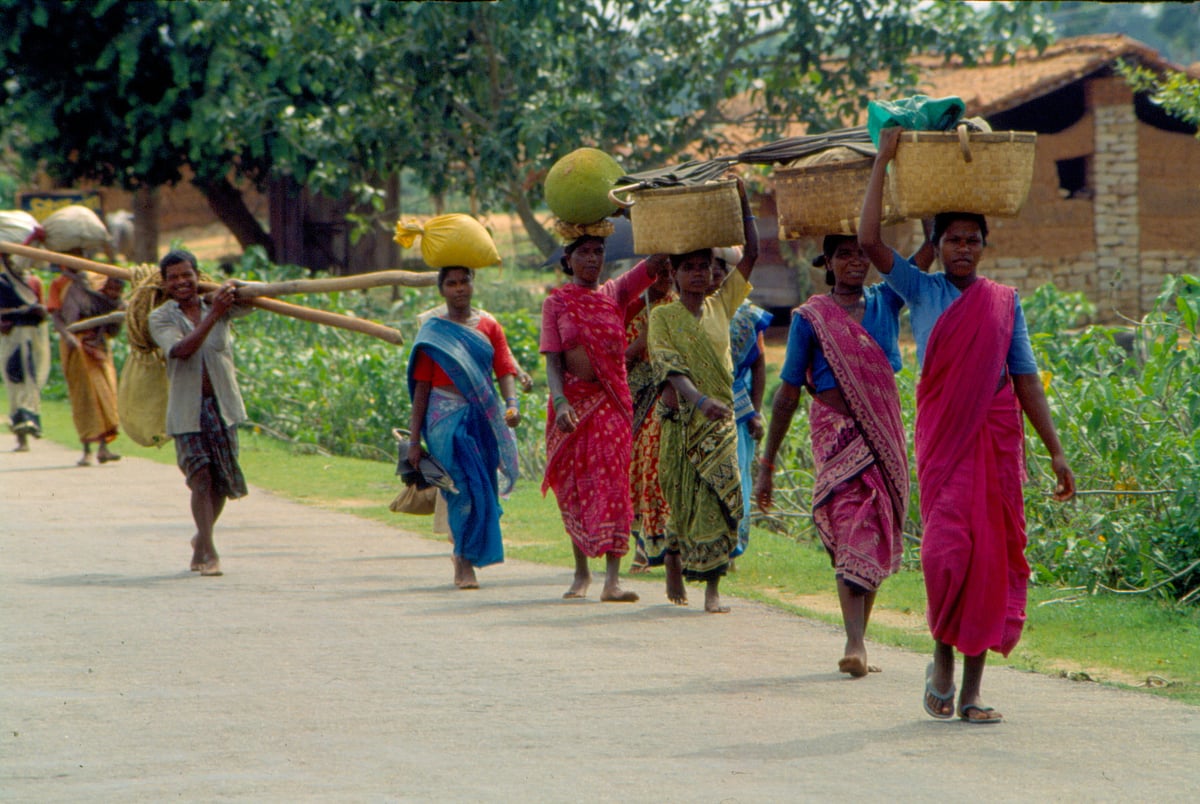 Jharkhand Tribes Face Long Road to Social Justice Despite 25th Anniversary