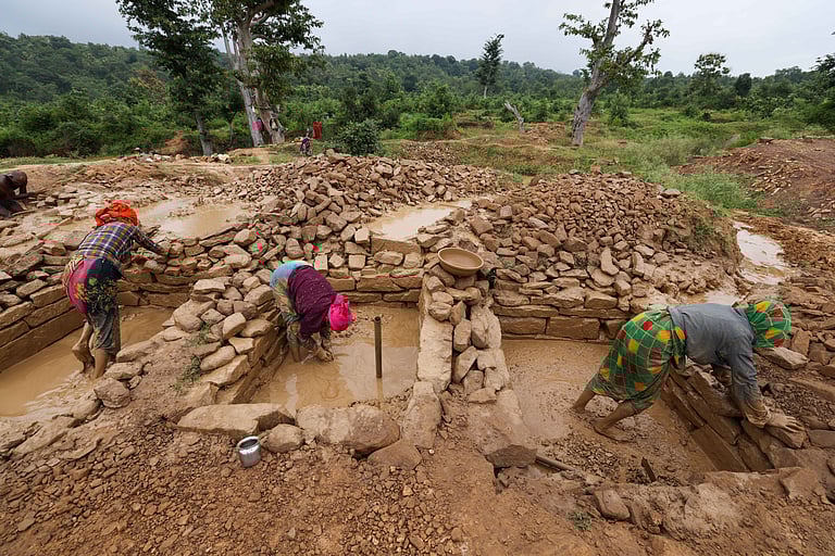 Diamond Mining in Panna: A Threat to Madhya Pradesh's Tiger Reserve?