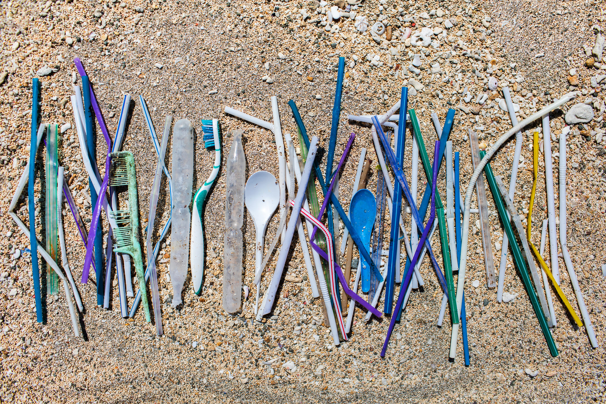 Trump’s Executive Order on Plastic Straws: A Step Back in the Fight ...