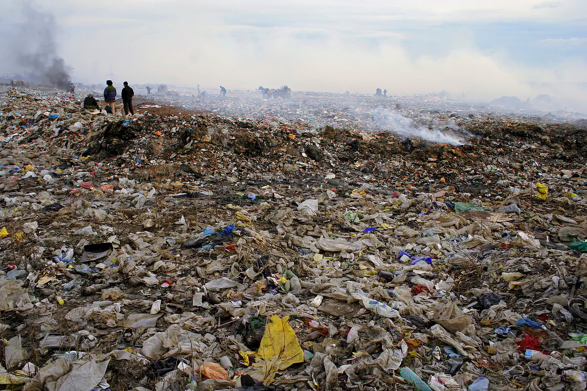 How Our Perception of Waste Shapes Our Reality: A Deep Dive into Human ...