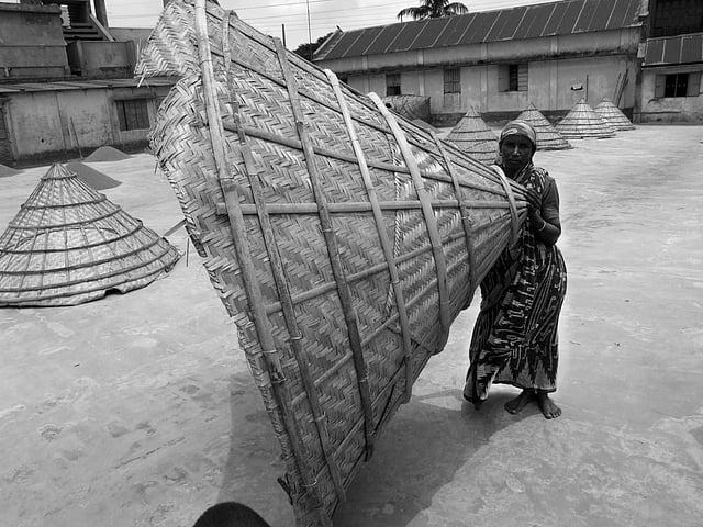 Bangladesh's Bamboo Bins: Sustainable Paddy Storage Reflects Agrarian ...