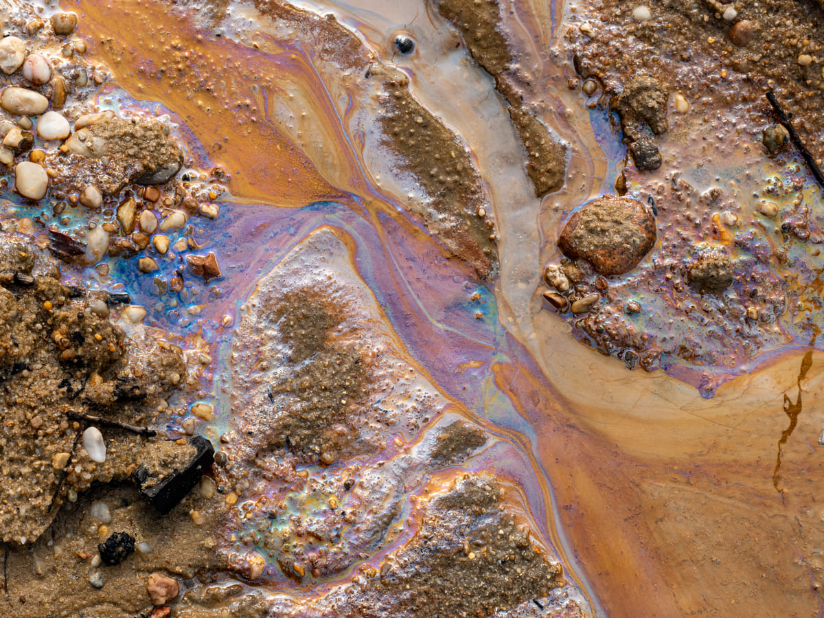 Global Agricultural Land Crisis: 242 Million Hectares Polluted by Toxic ...