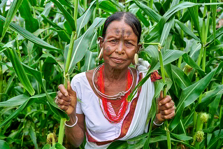 Indigenous Knowledge: IPLCs Outperform Scientists in Climate Data Collection