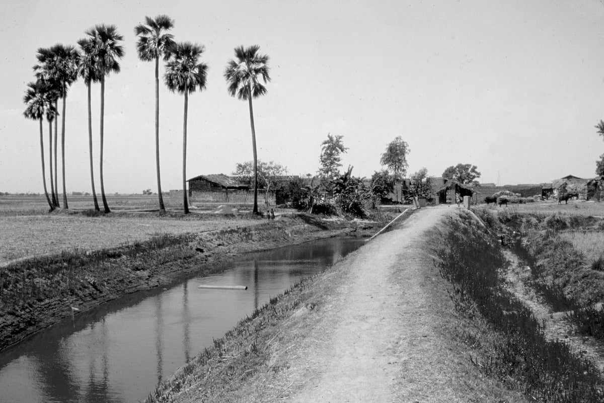 Reviving Ahar-Pyne: Ancient Water System Boosts Bihar Agriculture