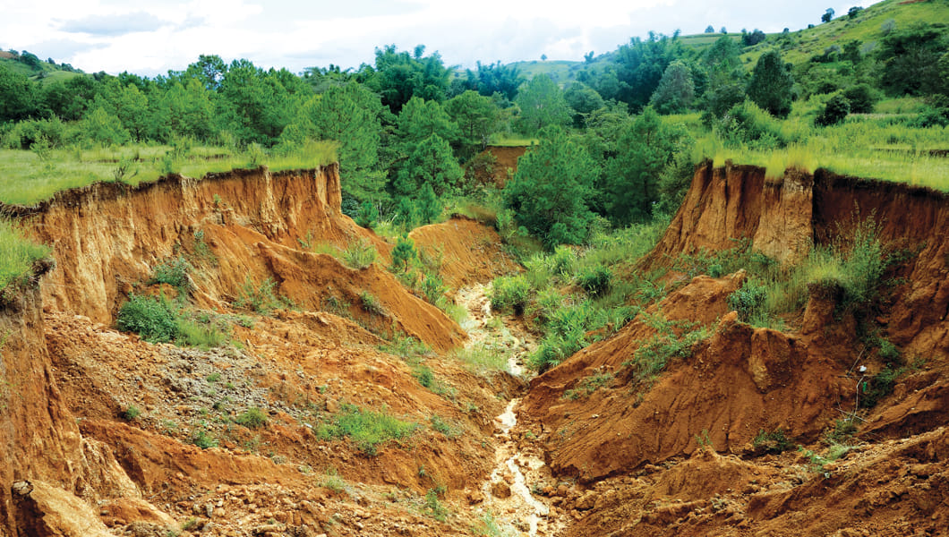 Gully Erosion Crisis: Threatening Global Landscapes and Sustainable Goals