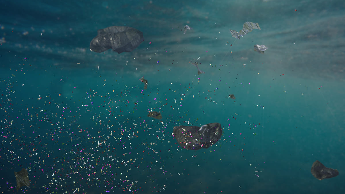 Microplastics Impact: Ocean Structure and Biogeochemical Processes Altered