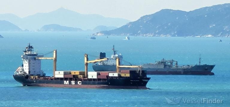 Vizhinjam Disaster: Kerala's Fragile Coastline Exposed by MSC ELSA 3 ...
