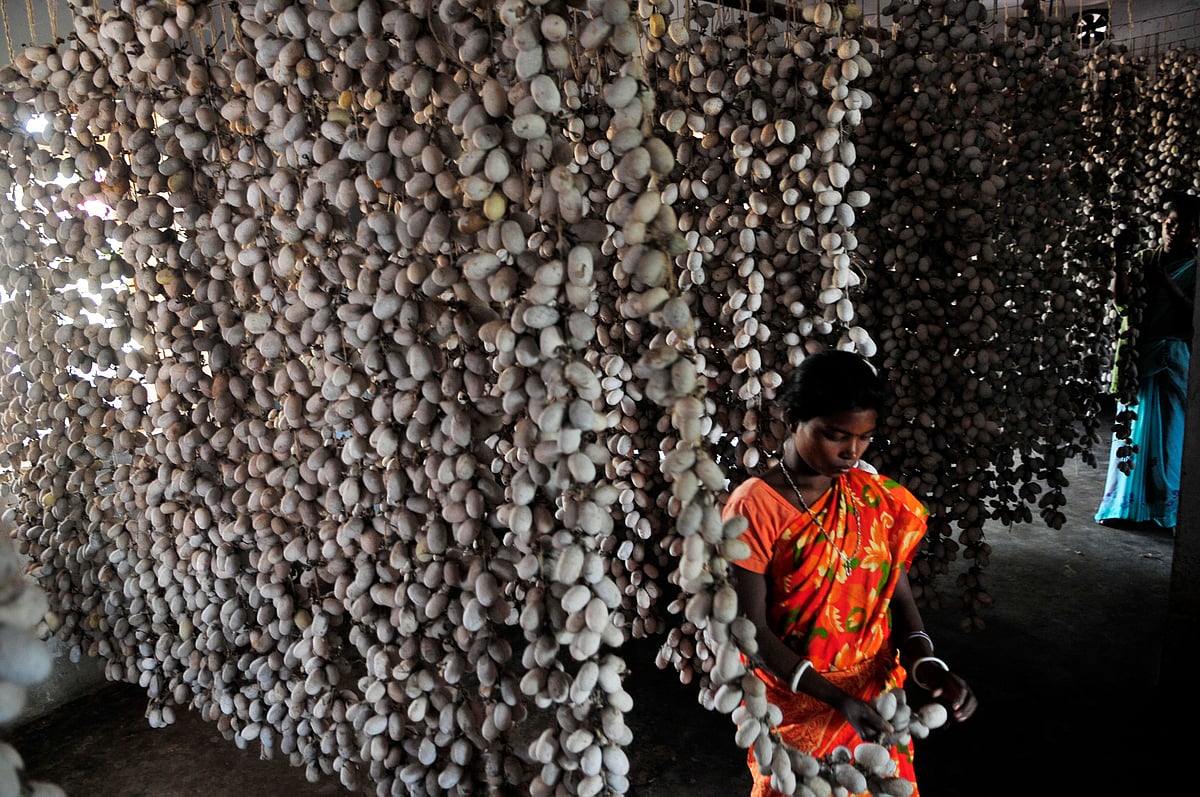 Wild Silk Traditions: Tasar Silk Weaving Empowers Jharkhand Tribes