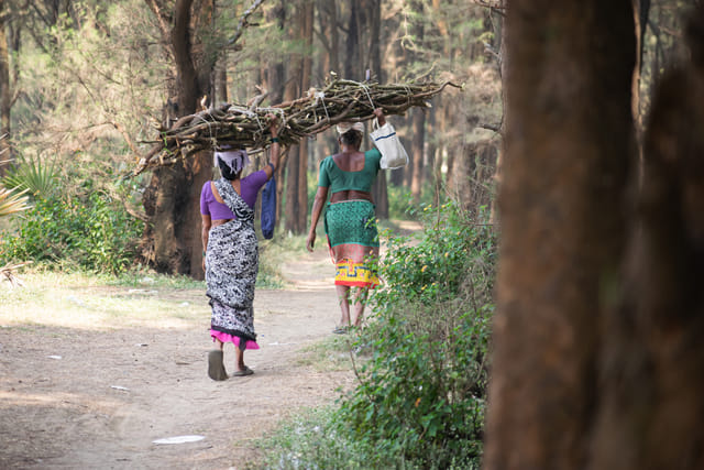 MoTA Backs Tribal Autonomy: Empowering Chhattisgarh's CFR Gram Sabhas