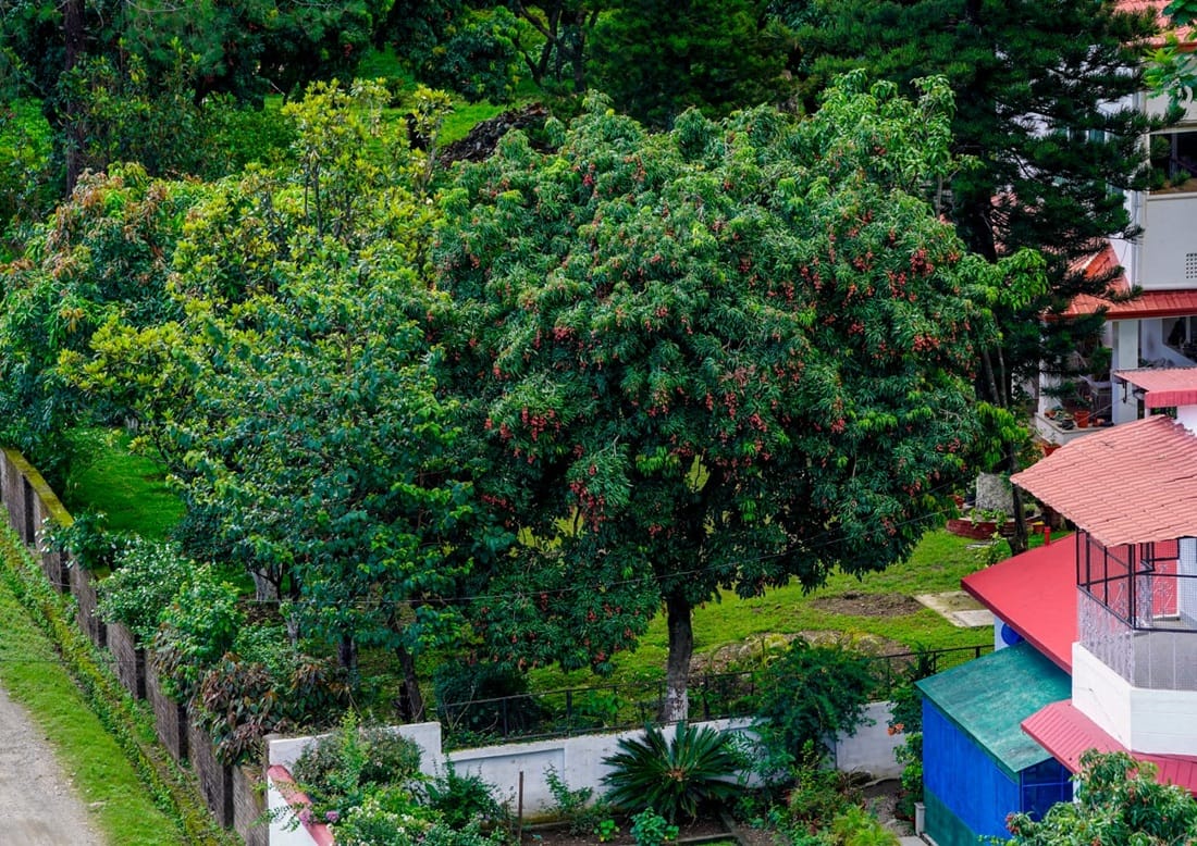 Dehradun's Transformation: From Quaint 'Dehra' to Urban Sprawl