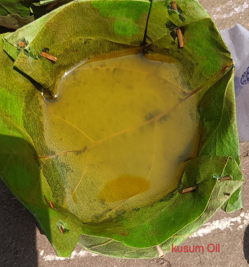 Odisha's Hidden Gem: The Kusum Tree's Cultural and Medicinal Riches