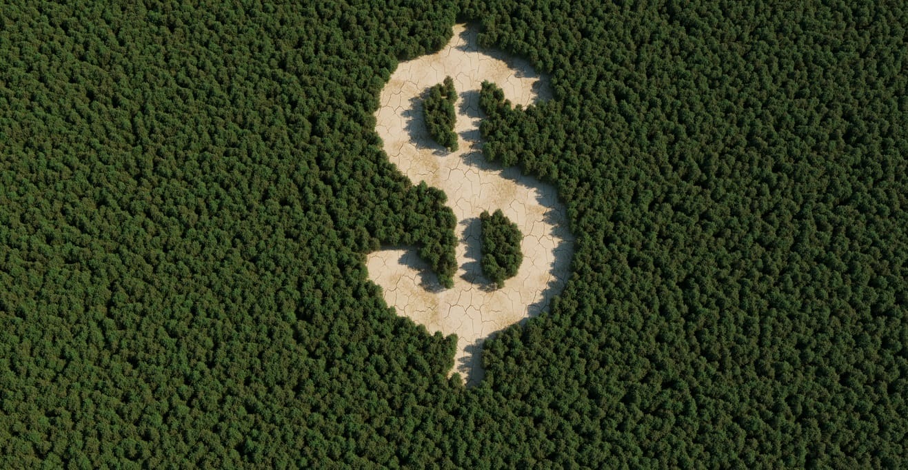 Urgent Forest Finance: Tripling Investments Needed to Meet 2030 Goals
