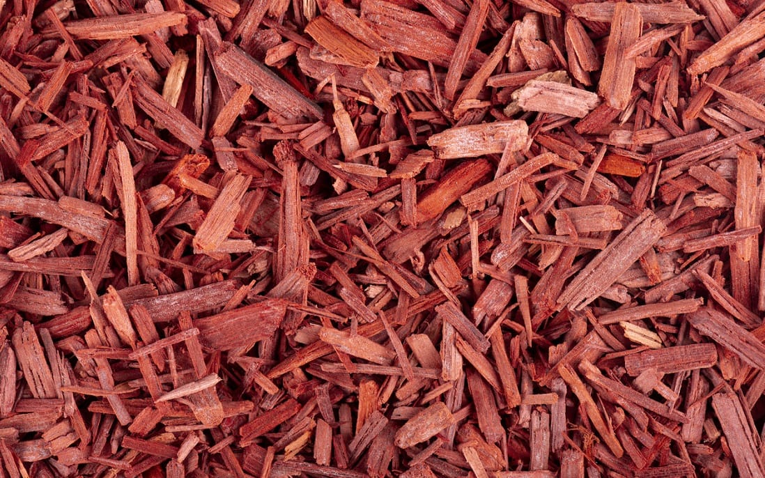 Export Quota Boost: India Increases Red Sanders Export Limit to 1,290 MT