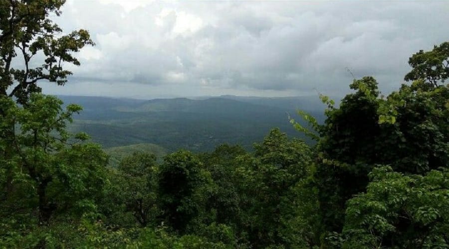 Supreme Court Mandate: Saranda Forest Awaits Wildlife Sanctuary Status