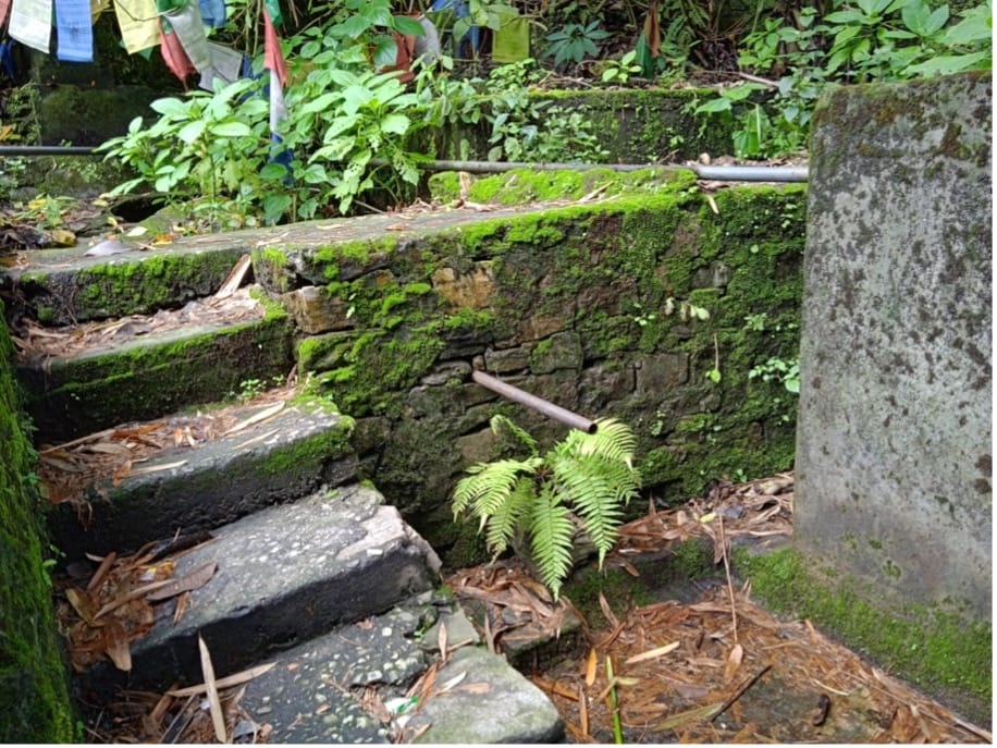 Himalayan Spring Revival: Kolbong's Community-Led Water Success