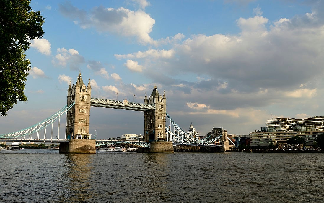 Restoring Thames Habitats: Reviving Riverside Ecosystems for Fish