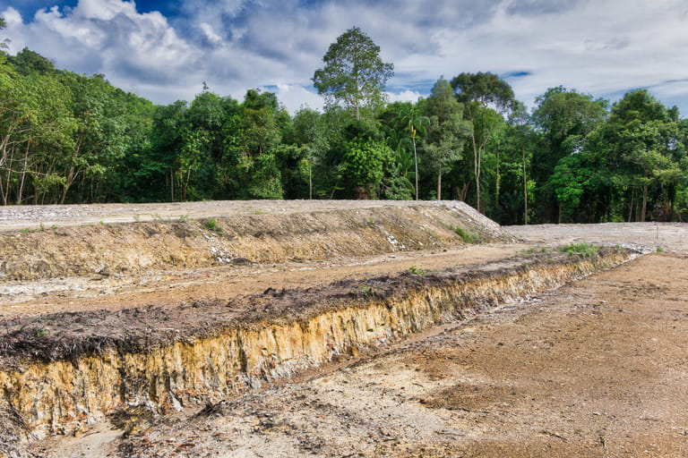 UN Report: Biodiversity Loss, Land Degradation Intensify Climate Change