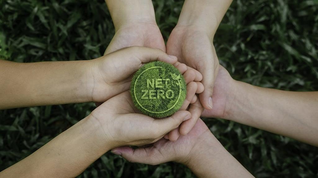 Carbon Controversy: Corporate climate action watchdog’s new decision ...