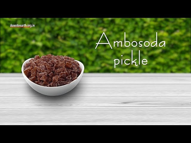 How To Make Spicy and Tangy Dried Mango (Aam Papad) Pickle