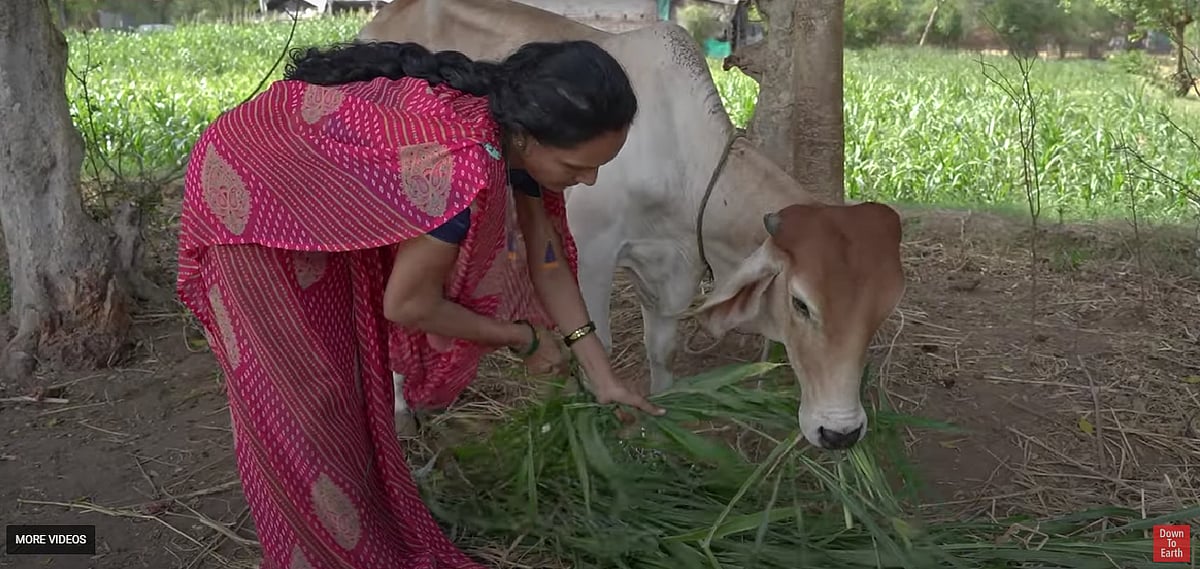 All-Women Manure Cooperative in Zakariyapura: Transforming Biogas into ...
