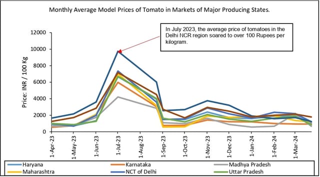 Understanding the recent tomato price spike: What lies ahead?
