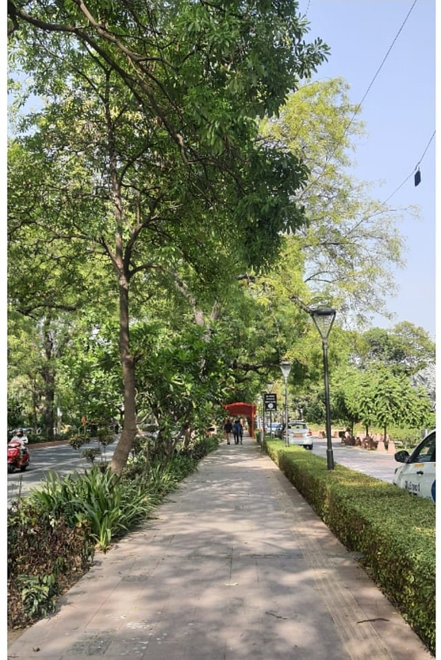 Effective Cooling Techniques for Urban Areas: Insights from Urban Designer