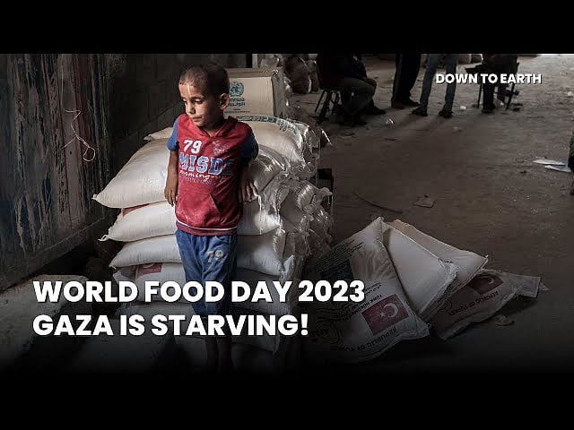 The World Food Programme warns Gaza is running out of food and water