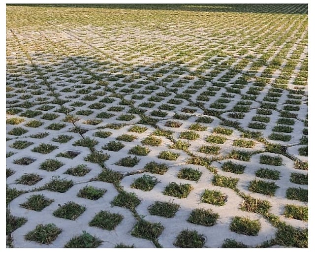 Effective Cooling Techniques for Urban Areas: Insights from Urban Designer