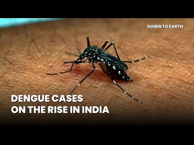 Dengue cases on the rise again as Kolkata sees major spike in last 7 days