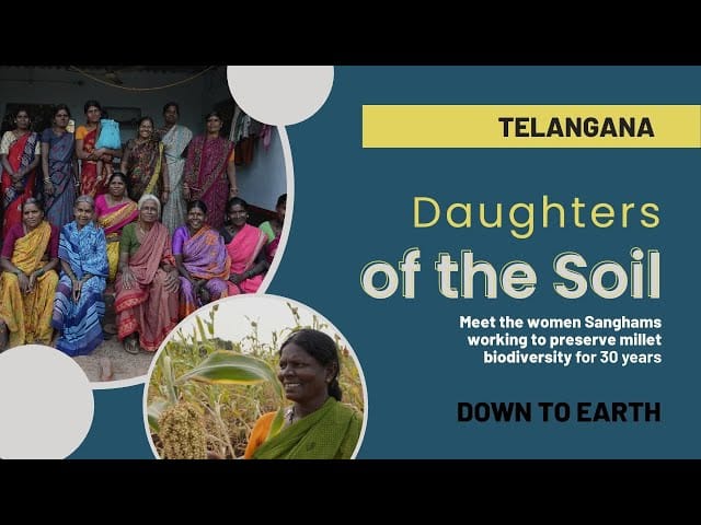 Meet the Telangana Dalit women working to preserve millet biodiversity ...