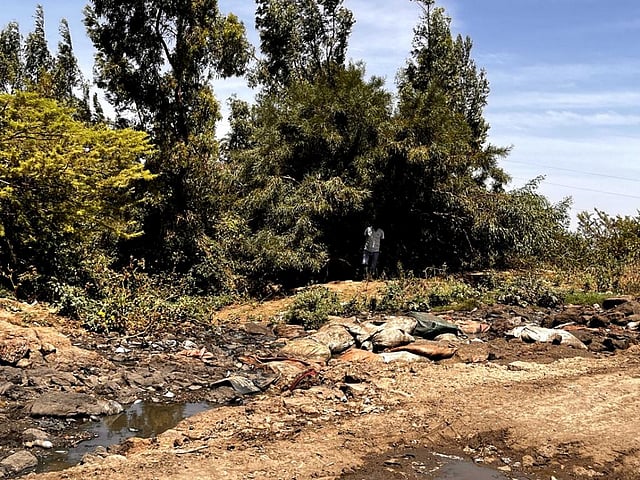 World Environment Day 2024: Effective faecal sludge management can help ...