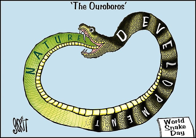 Simply Put: World Snake Day 2024