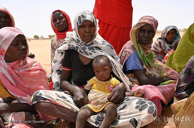 DTE Coverage: UNEP Foresight Report 2024