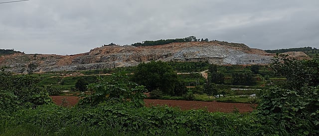 Frequent Sightings of Melanistic Leopards in Karnataka: Experts Warn of ...