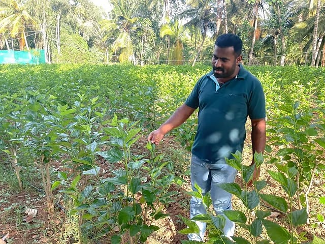 Rural Karnataka Bachelors Face Intense Financial Scrutiny in Marriage ...