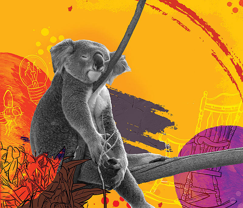 Laziness as an Evolutionary Trait: Insights from Todd Elroy