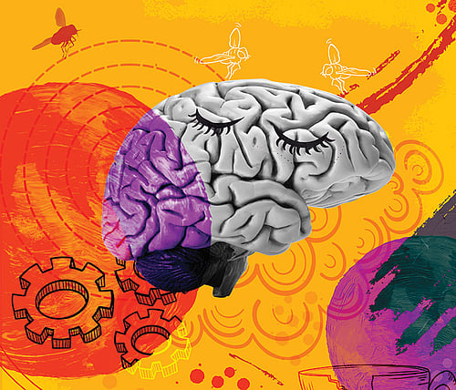 Overcoming Laziness: Insights from Nobuhiro Hagura on Human Behavior