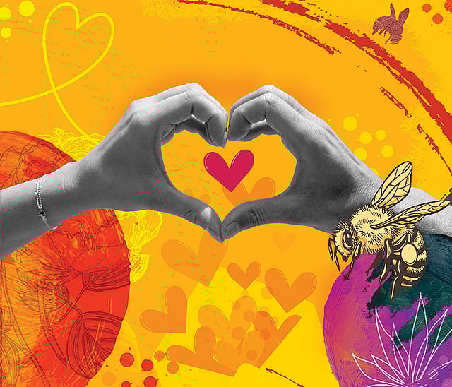 Understanding the Complexities of Lust: Insights from Xiaomeng Xu