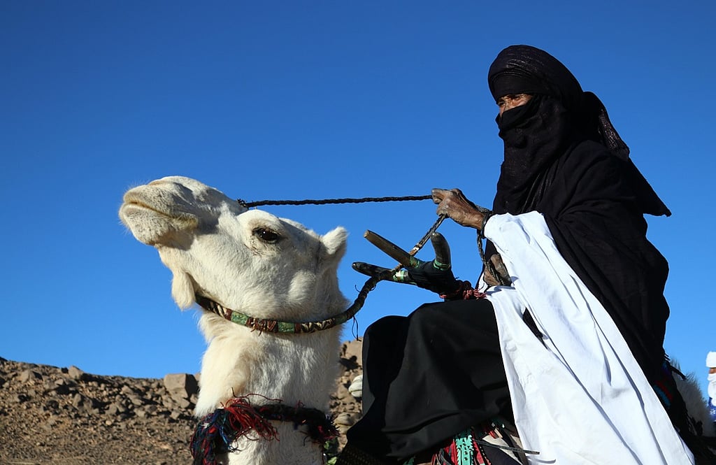 Genetic Study Reveals Berbers Reached North Africa 20,000 Years Ago ...