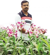 Celebrating KS Manilal: The Botanist Who Revived the 17th-Century ...