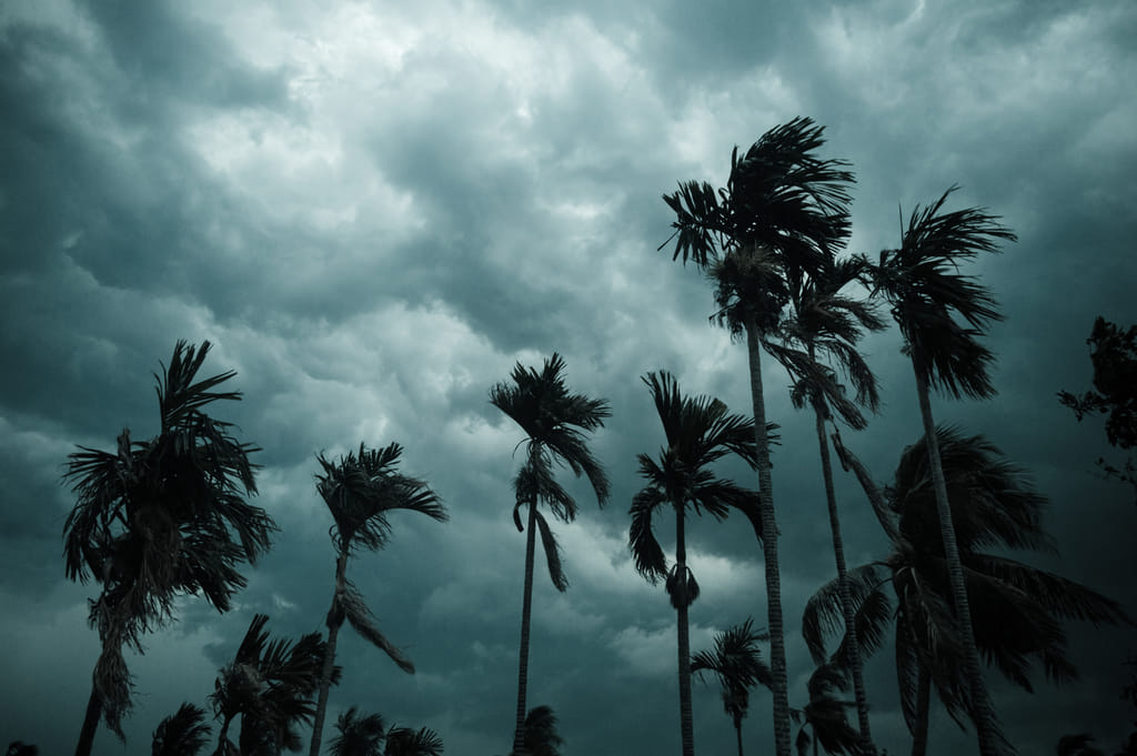 Monsoon 2024: Record Heatwaves, Rare Cyclone, and La Niña Raise 1999 ...