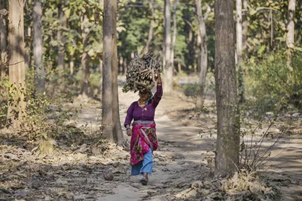 Demand to Withdraw NTCA's Relocation of Forest Communities from Tiger ...