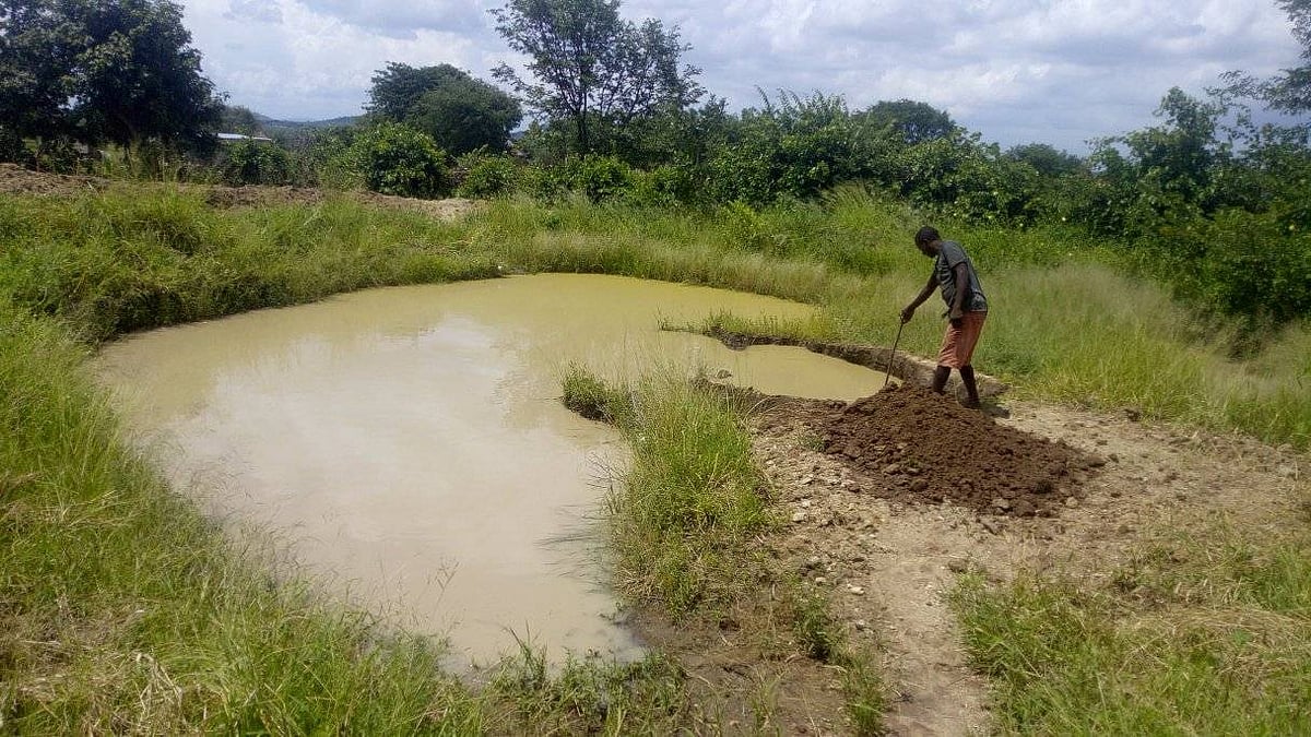 Rainwater Harvesting Transforms Zimbabwean Farming Amid Climate Challenges