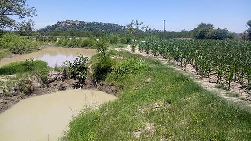 Rainwater Harvesting Transforms Zimbabwean Farming Amid Climate Challenges