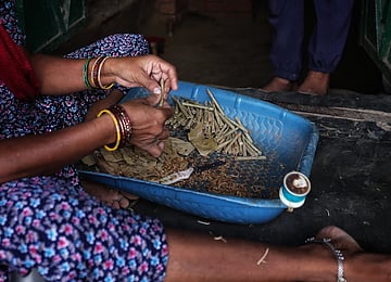 Women Bidi Rollers in Rural UP: Balancing Livelihood and Health Risks
